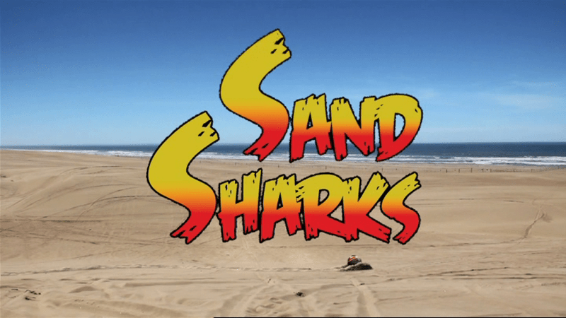 Sand Sharks (2011) [REVIEW] | Shark On The Beach – Wise Cafe ...
