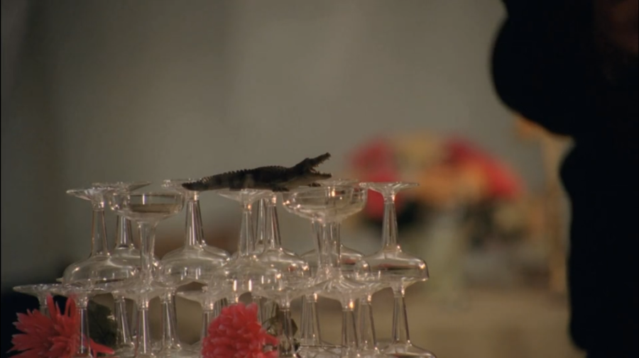 Mega Python VS Gatoroid (2011) [REVIEW] | Potter, You Fool – Wise Cafe ...