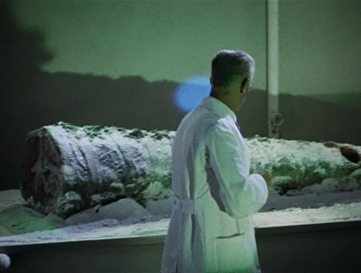 Reptilicus (1961) [REVIEW] | Danish Dragons – Wise Cafe (International)