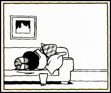 Summer Power Nap – Wise Cafe (International)