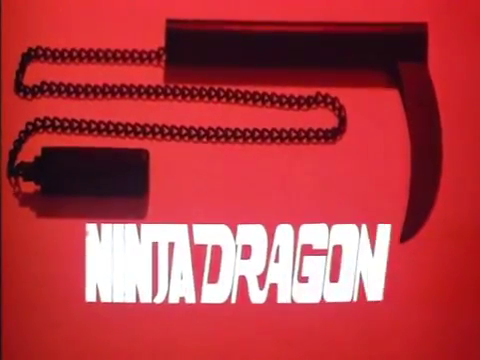 Ninja Dragon (1986) [REVIEW] | Dragon sold separately – Wise Cafe ...