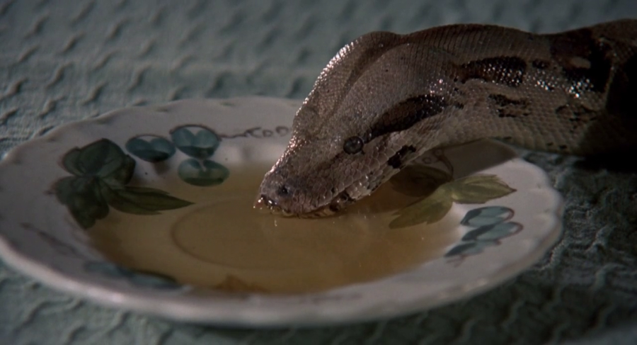 Sssssss! AKA Kobra (1973) [REVIEW] #snakesofjunetoo – Wise Cafe ...
