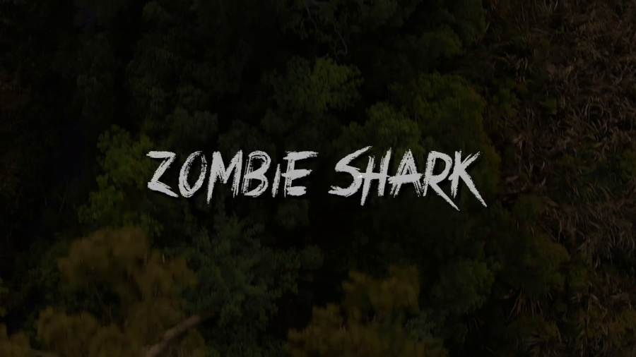 Zombie Shark AKA Shark Island (2015) [REVIEW] | #thesharksix – Wise ...